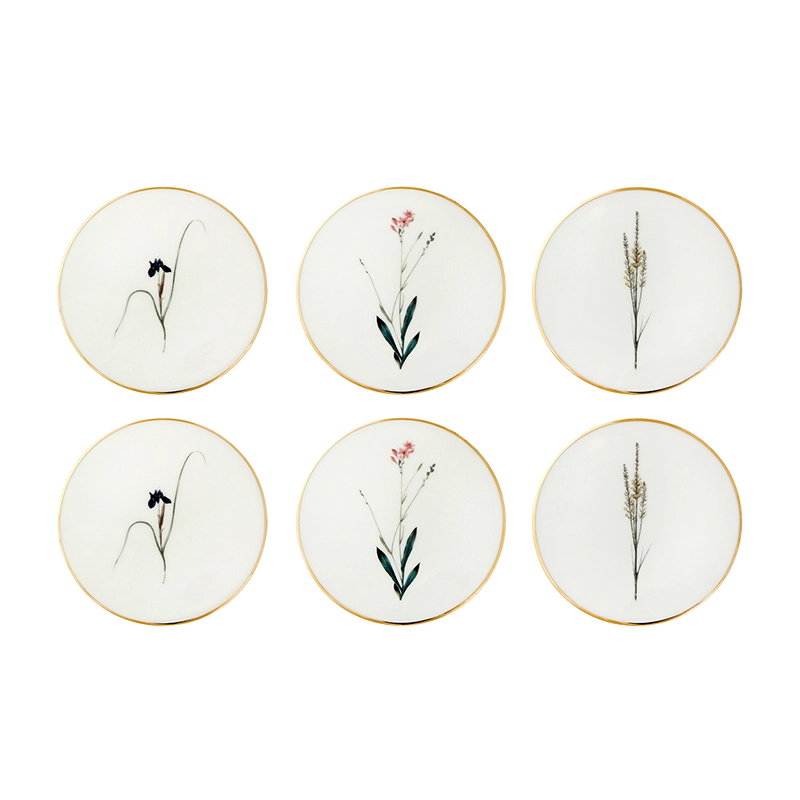 Botanical 6 Piece Coaster Set